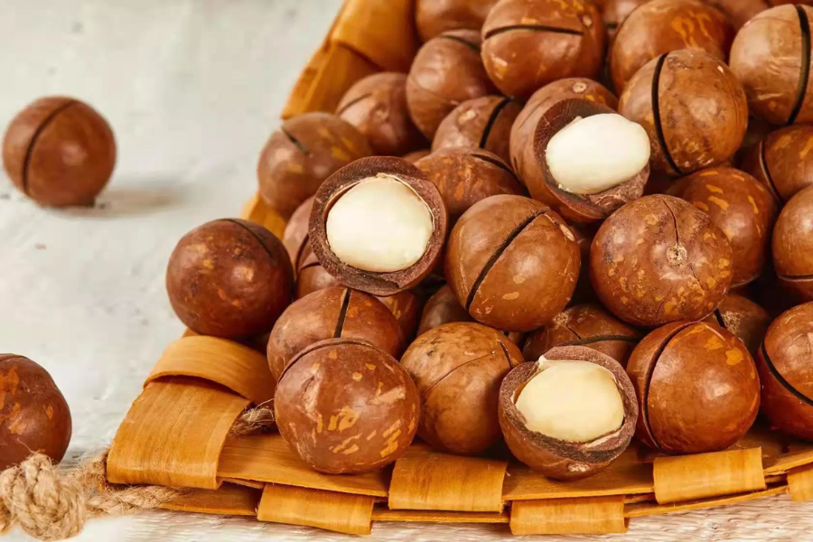 Ph N Ang Cho Con B N C H T Macca Kh Ng